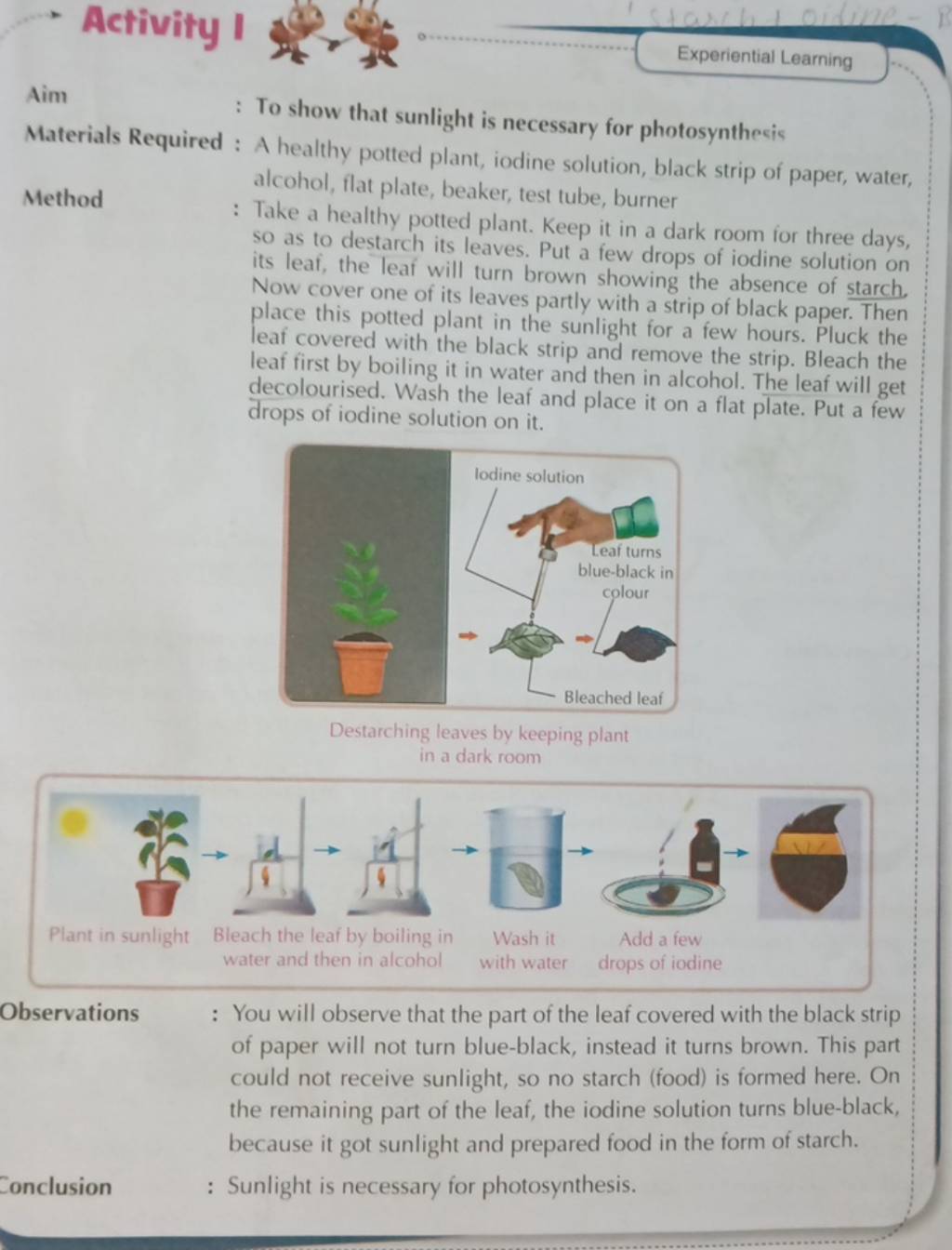 Activity I Experiential Learning Aim : To show that sunlight is necessary..