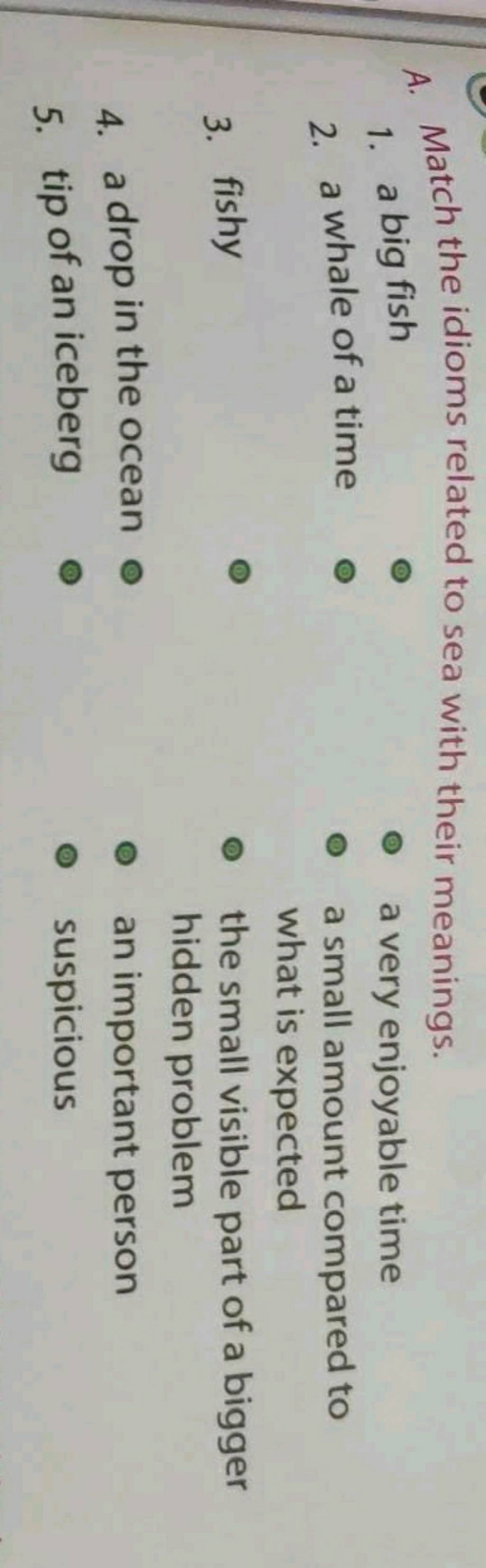 A. Match the idioms related to sea with their meanings. 1. a big fish - a..