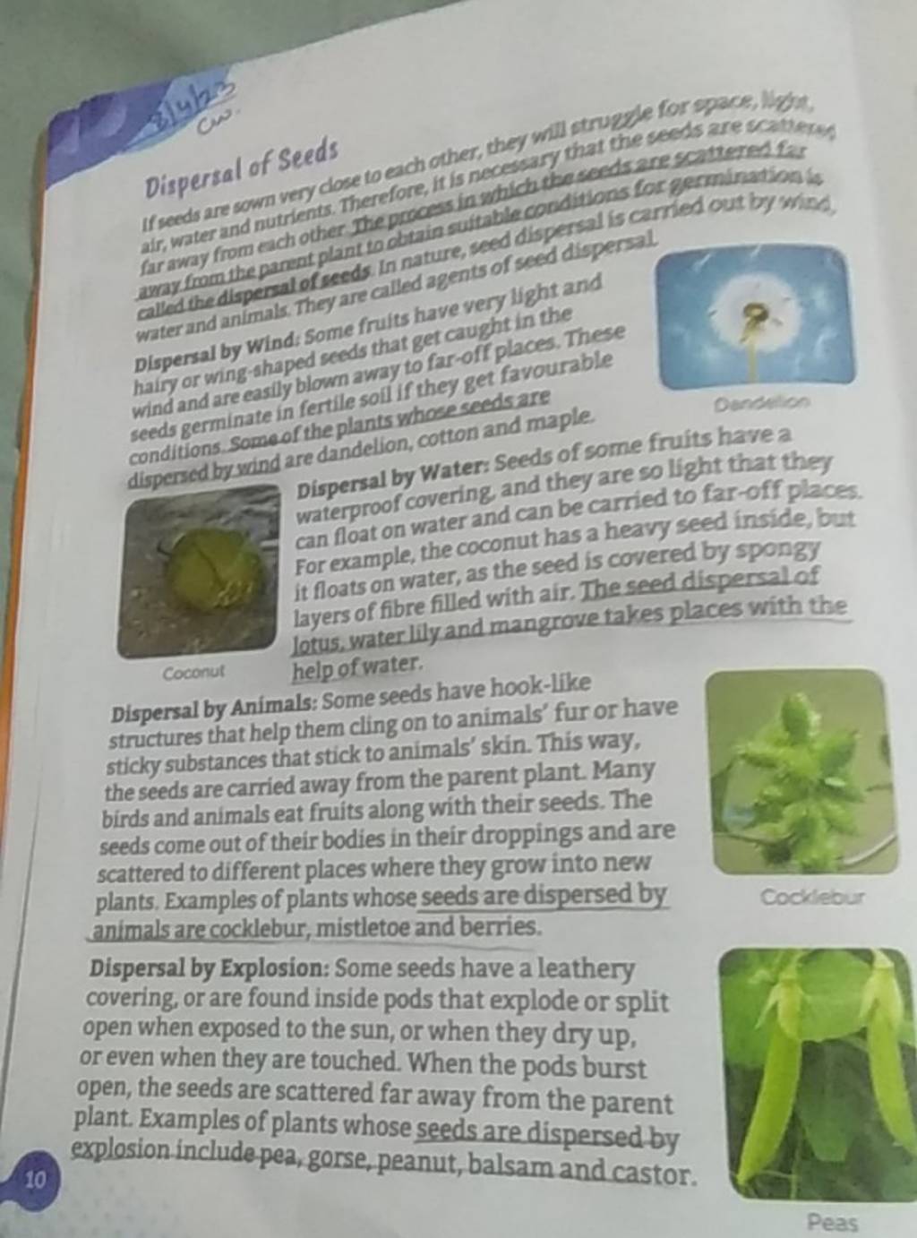 Dispersal of Seeds to each other, they will struefle for space, Night. If..