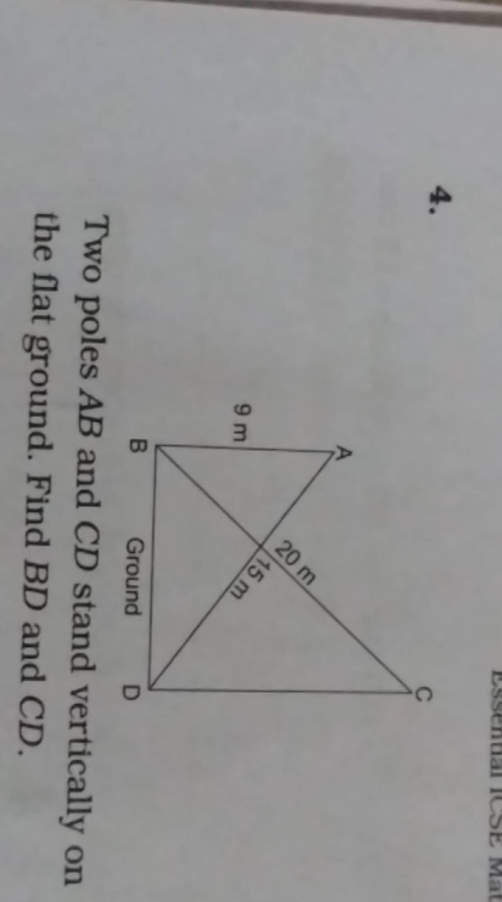 4. Two poles AB and CD stand vertically on the flat ground. Find BD and C..