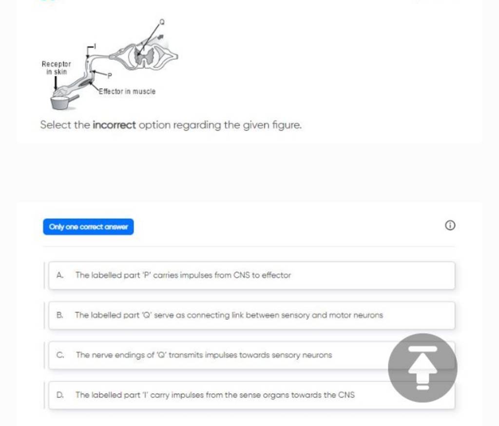 Select The Incorrect Option Regarding The Given Figure Only One Corroct