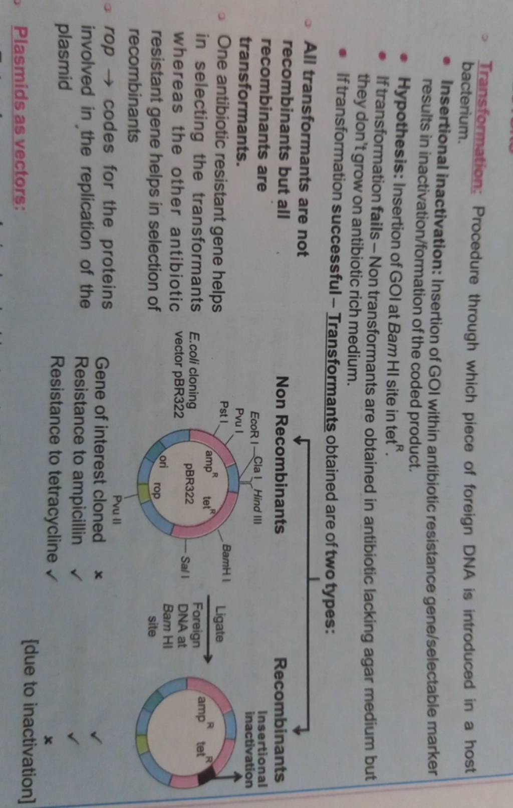 - Transformation: Procedure through which piece of foreign DNA is introdu..