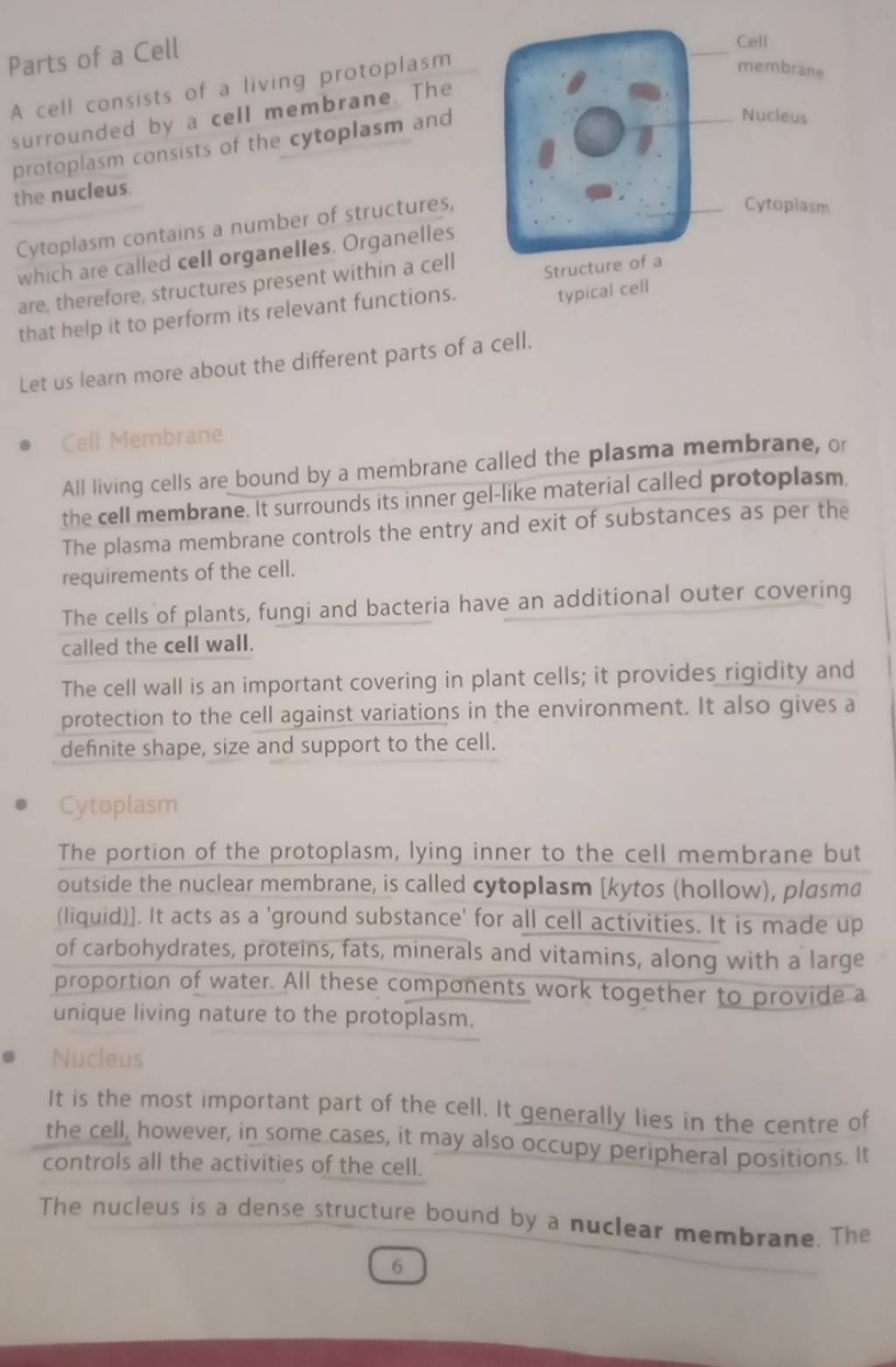 Parts of a Cell A cell consists of a living protoplasm surrounded by a ce..