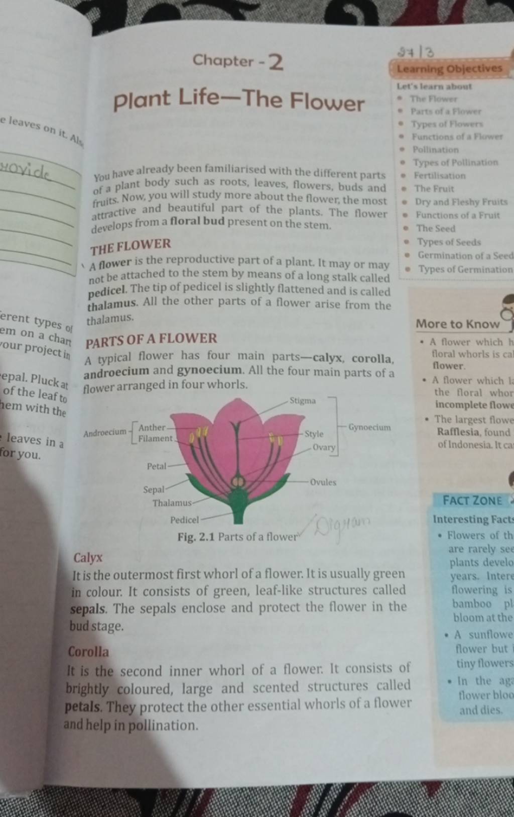 27/3 Learning ObjectivesLet's learn aboutplant Life-The Flower- The Flowe..