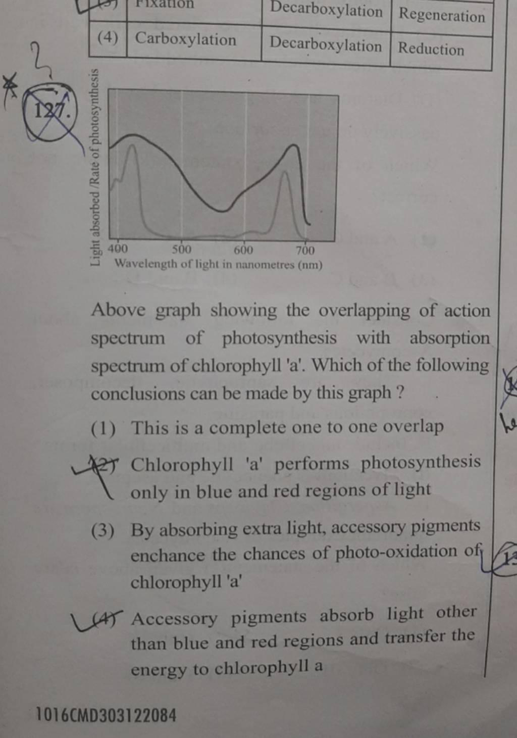 Above graph showing the overlapping of action spectrum of photosynthesis Above graph showing the overlapping of action spectrum of photosynthesis