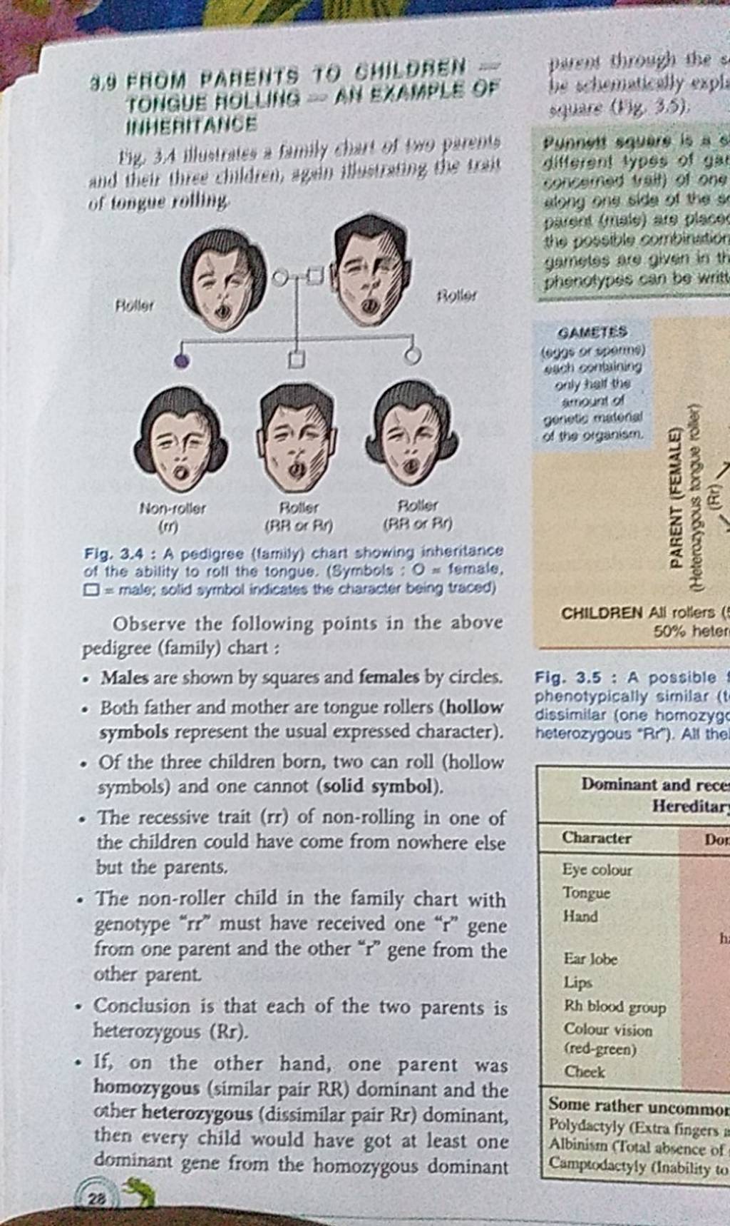 20120 3.9 FROM PARENTS TO CHILDREN TONGUE ROLLING AN EXAMPLE OF INHERITAN..