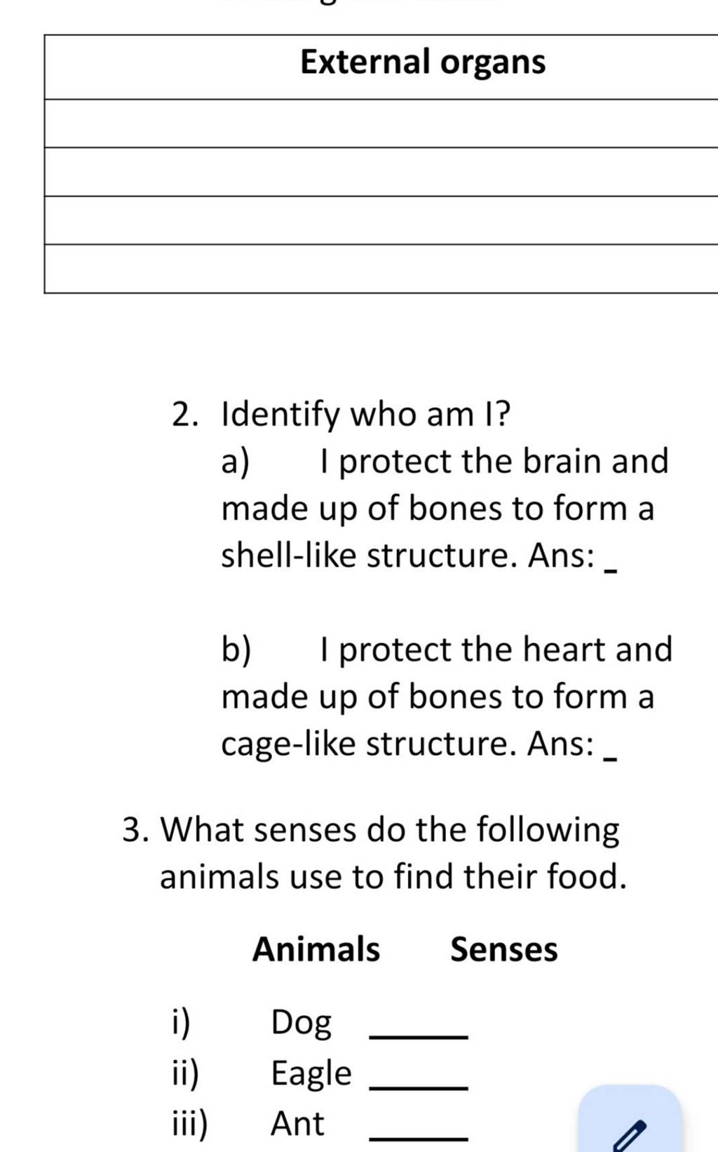 External organs 2. Identify who am I? a) I protect the brain and made up