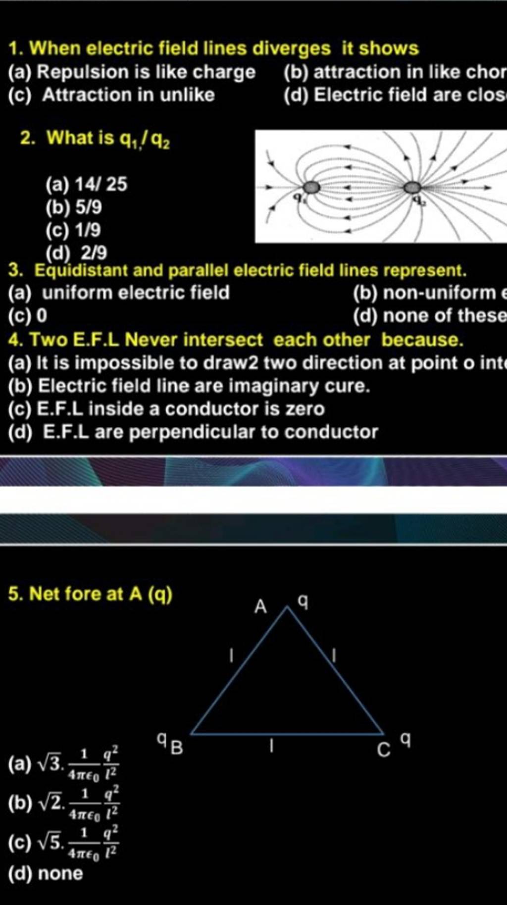 Equidistant And Parallel Electric Field Lines Represent Filo