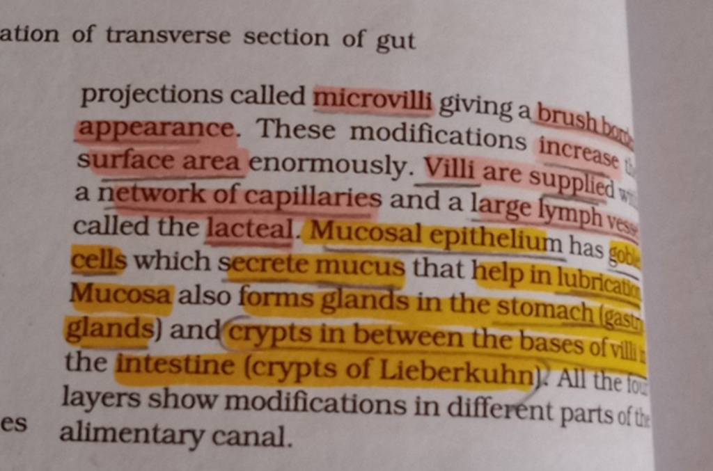 ation of transverse section of gut projections called microvilli giving a..