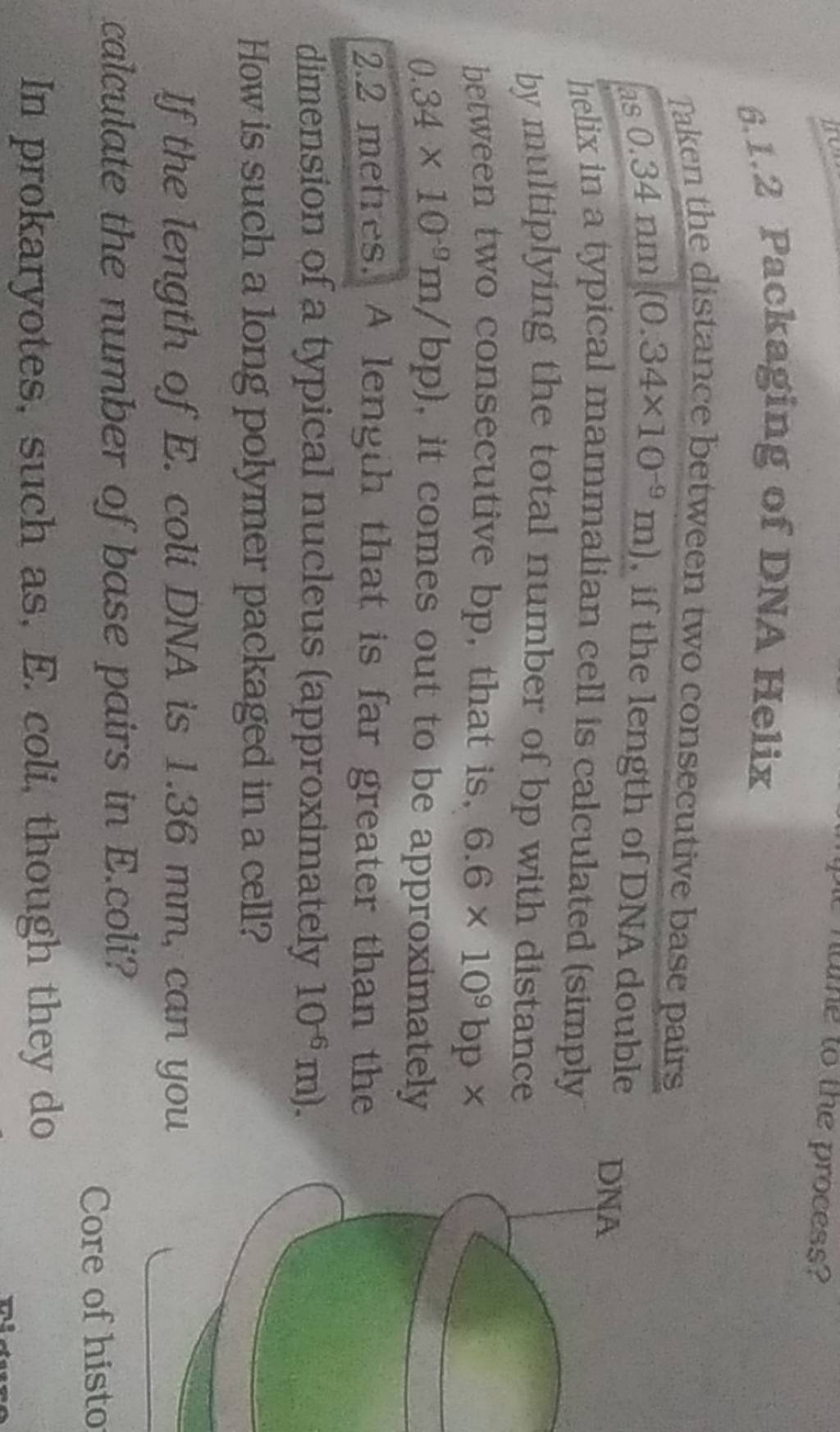 6.1.2 Packaging of DNA Helix Taken the distance between two consecutive b..