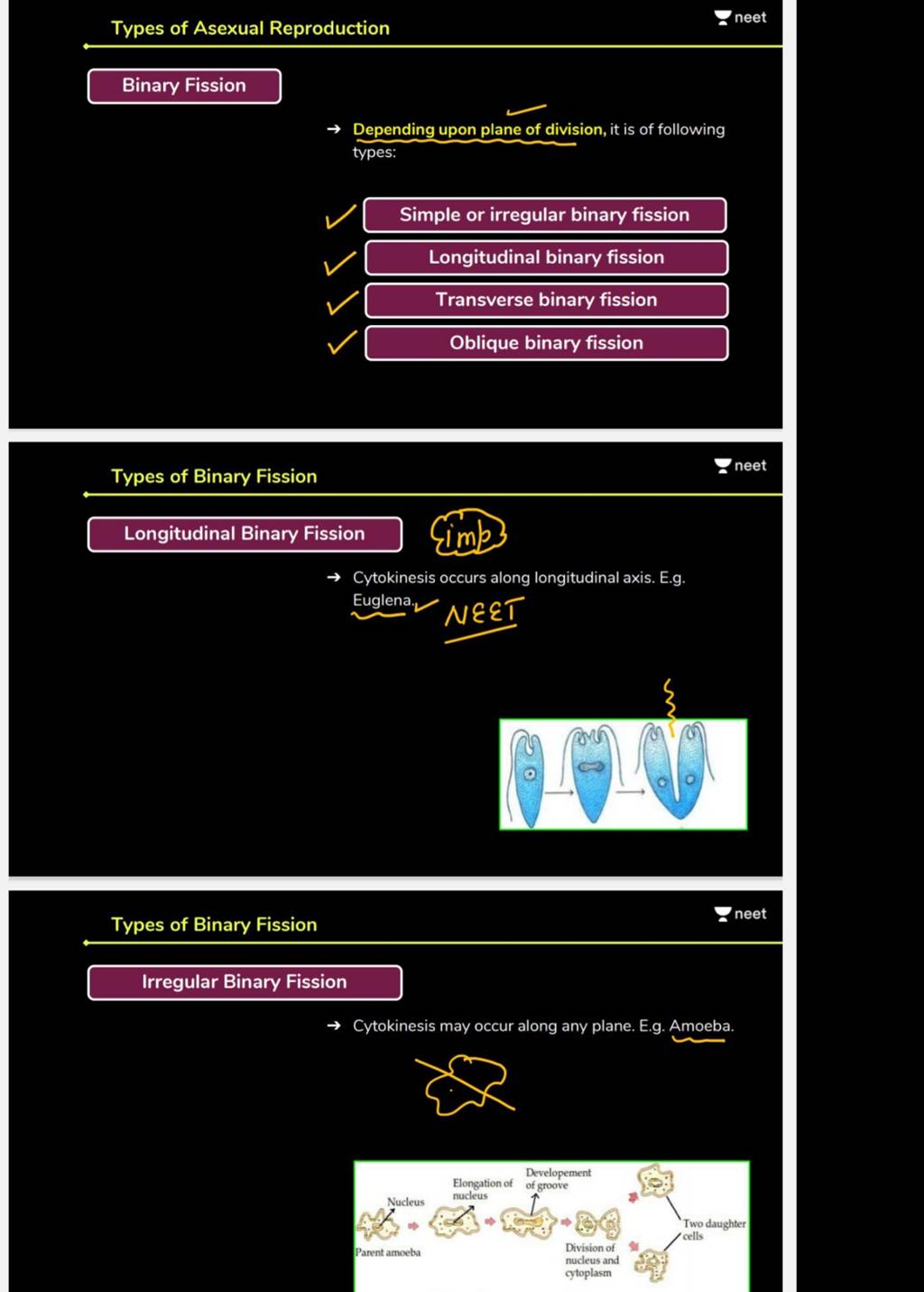 Types of Asexual Reproduction Binary Fission Types of Binary Fission → De..