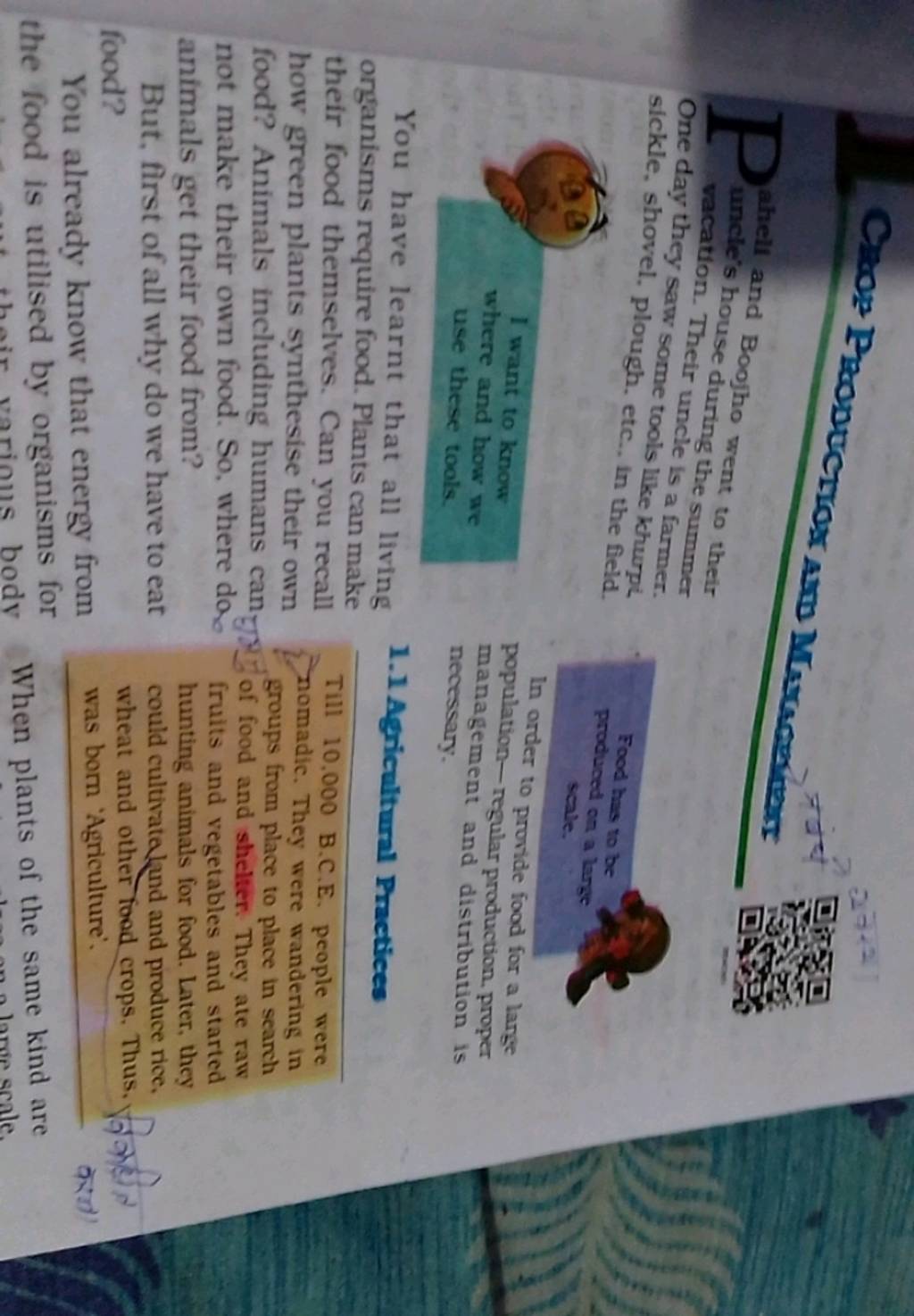 wheli and Boojho went to their uncle's house during the summer One day th..