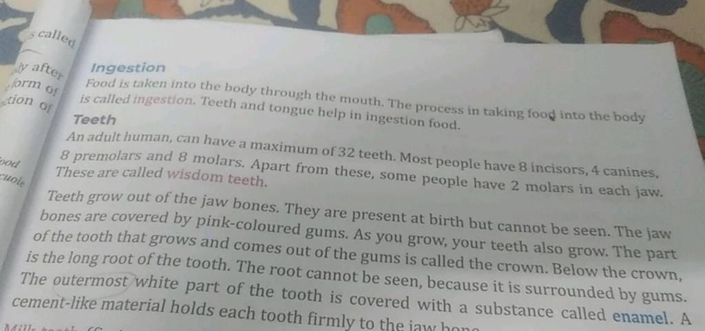 Ingestion Food Is Taken Into The Body Through The Mouth The Process In T