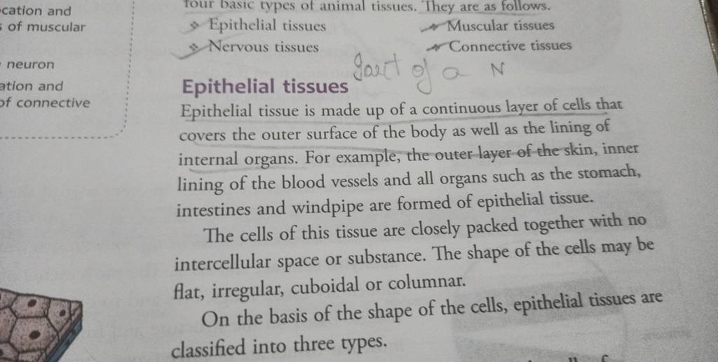 four basic types of animal tissues. They are as follows. | Filo