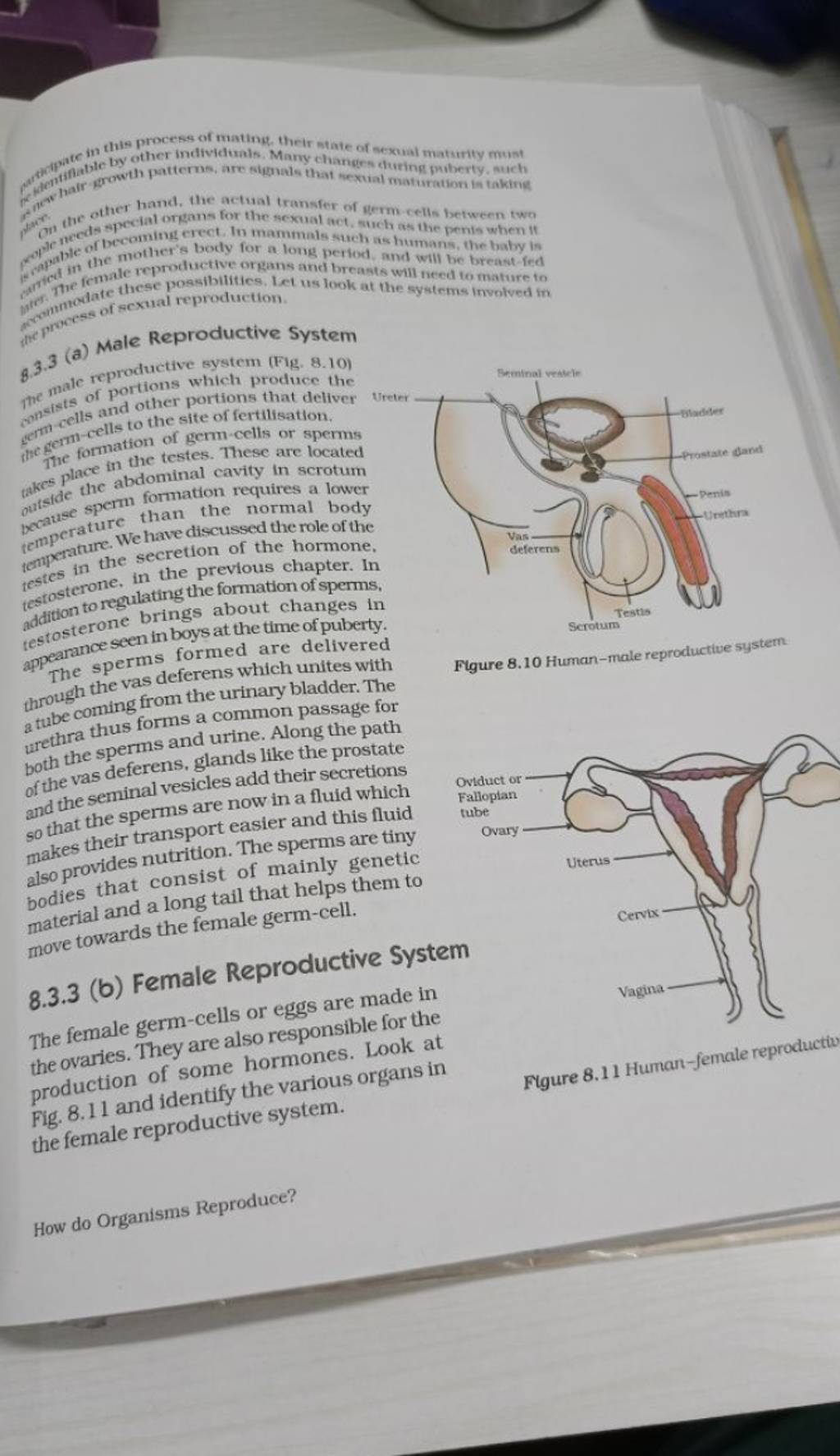 in this process of mating, their state of sexual maturity must dentifiabl..