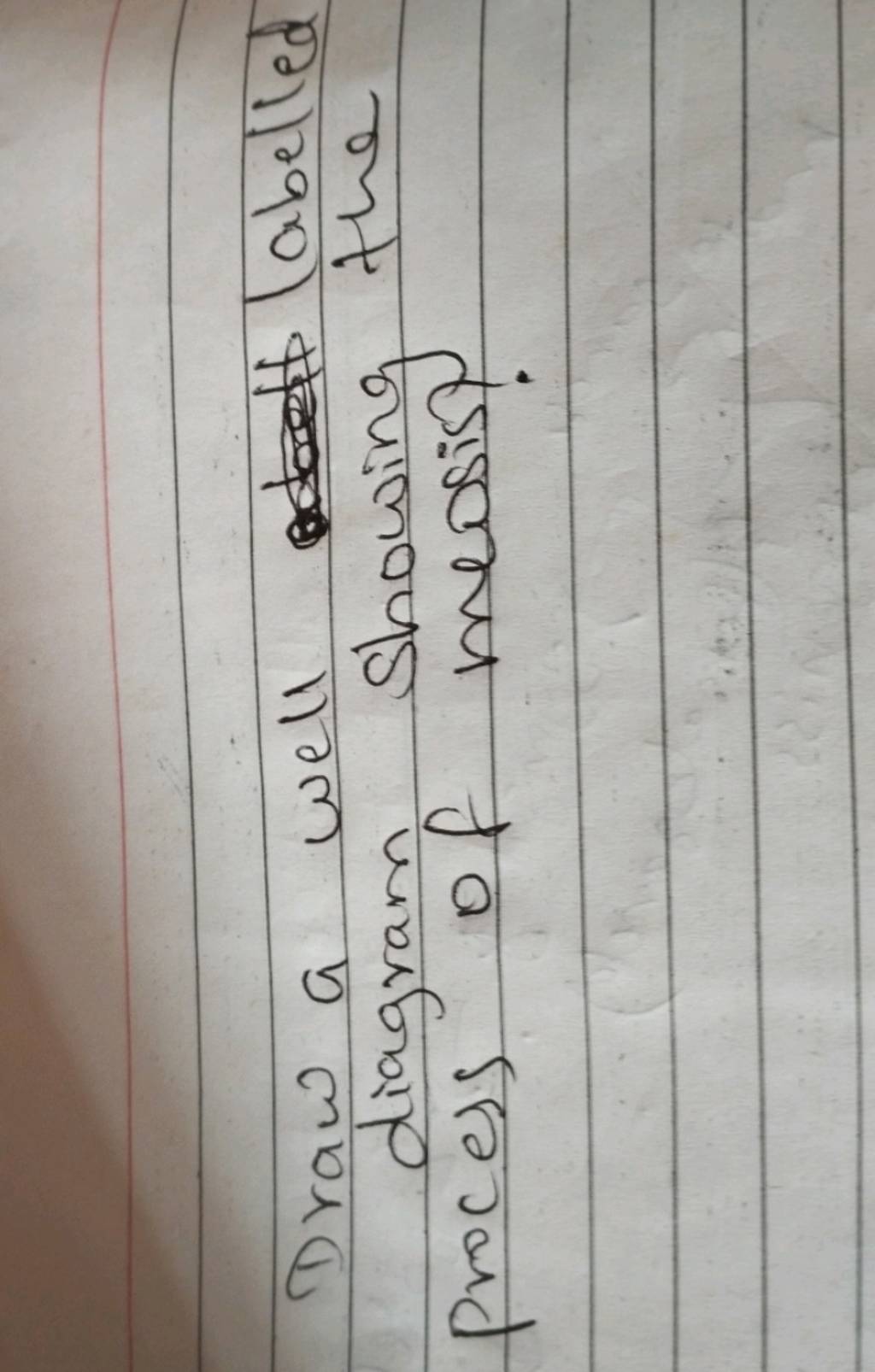 Draw a well labelled diagram showing the process of meosis? | Filo