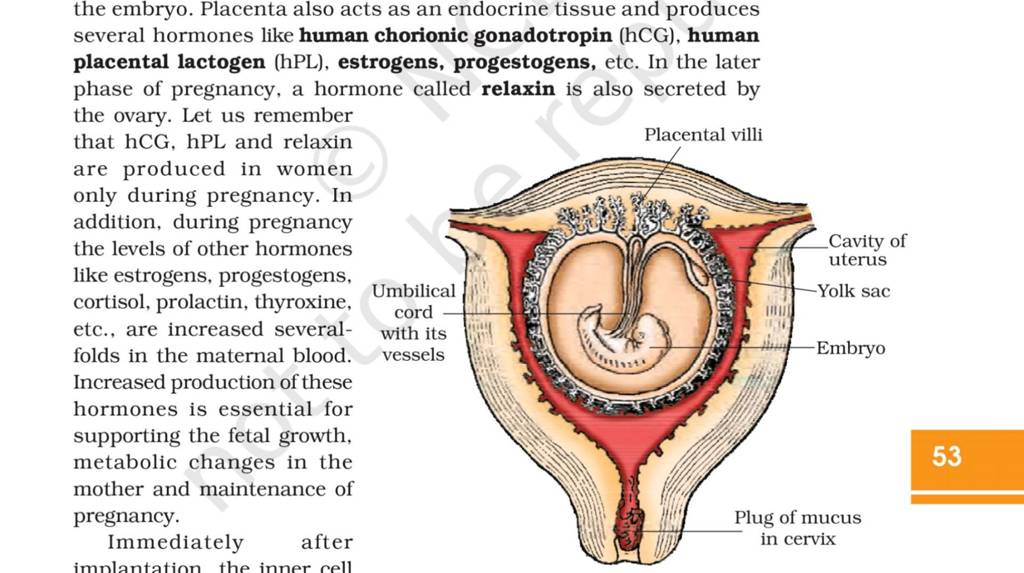 the embryo. Placenta also acts as an endocrine tissue and produces severa..