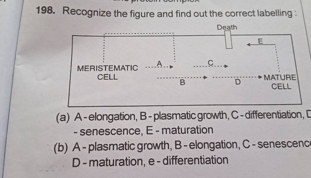 198. Recognize the figure and find out the correct labelling: (a) A-elong..
