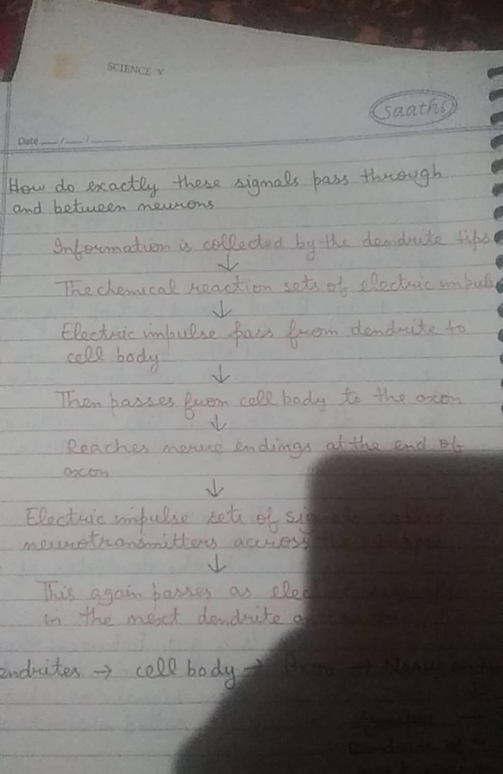 How do exactly these signals pass through and between newrons Information..