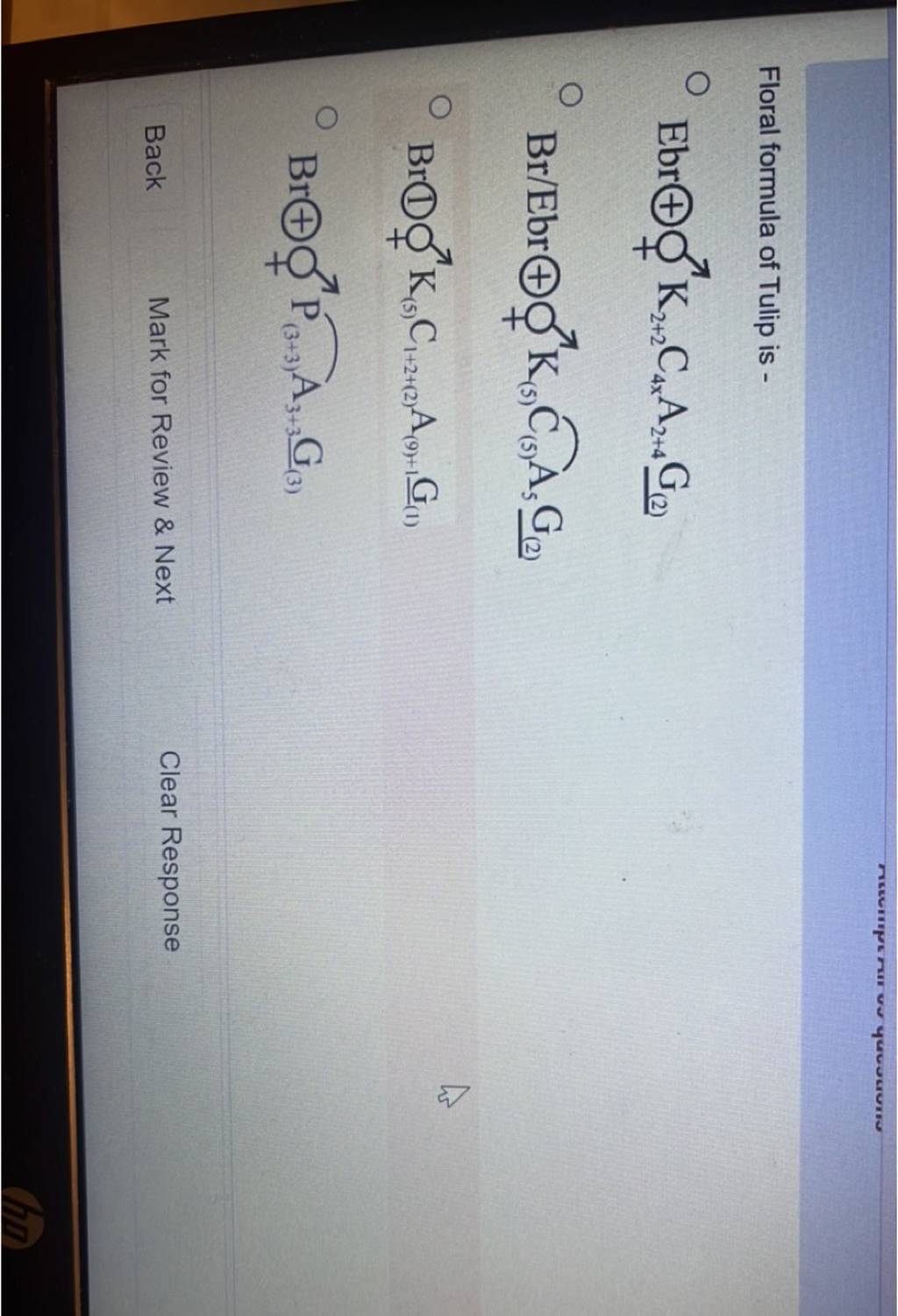 Floral formula of Tulip is - Ebr⊕ +⊤ K2+2 C4x A2+4 G(2) Br/Ebr⊕ +⊤ K(5..