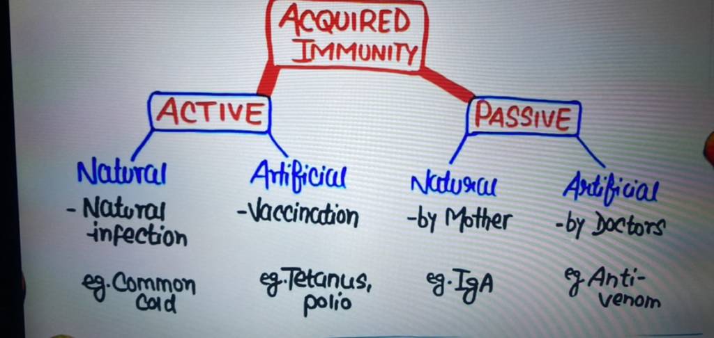 ACTIVE Natural - Natural infection eg.Common Cold ACQUIRED IMMUNITY Artif..
