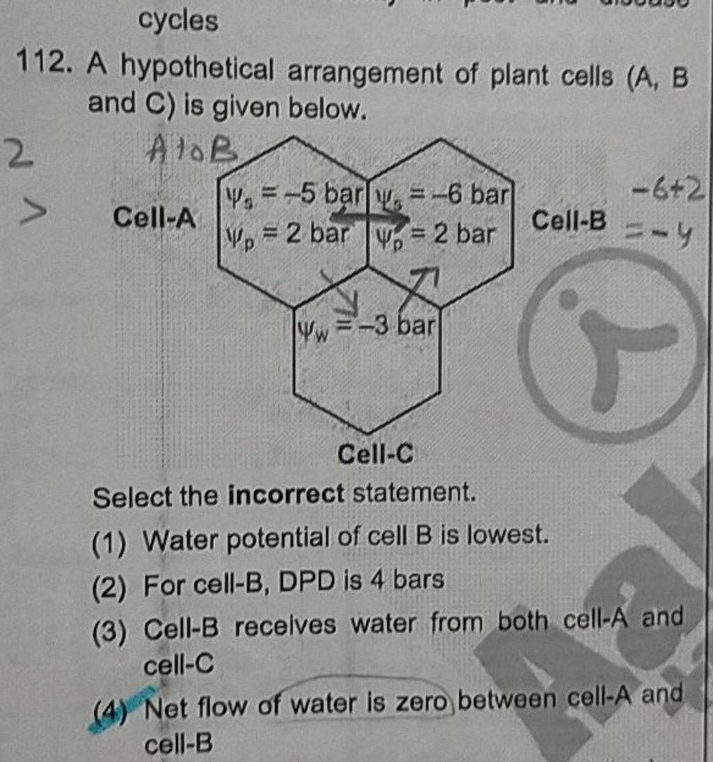 cycles 112. A hypothetical arrangement of plant cells (A, B and C ) is gi..