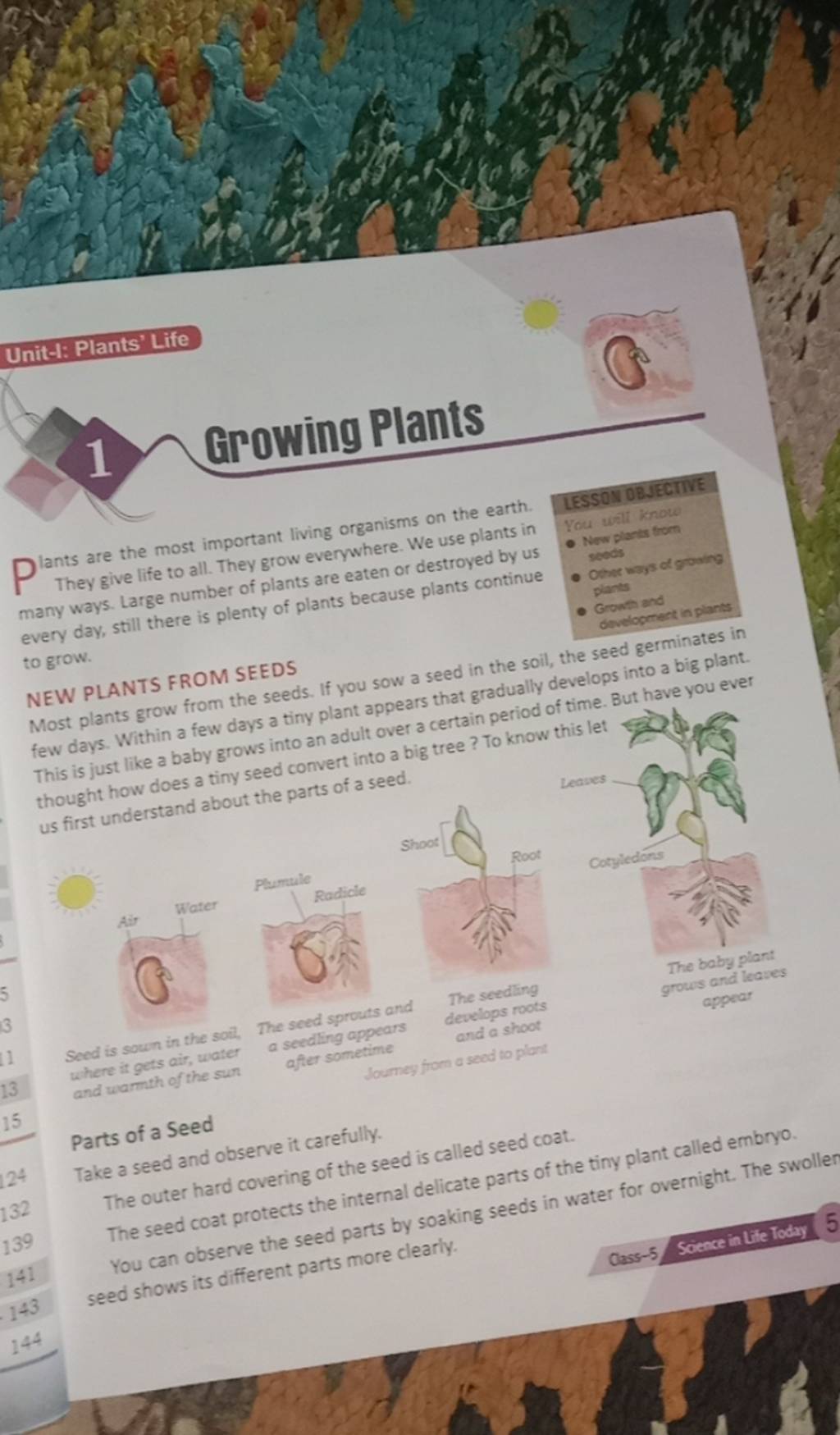 Unit-l: Plants' Life 1 Growing Plants P₁ lants are the most important liv..