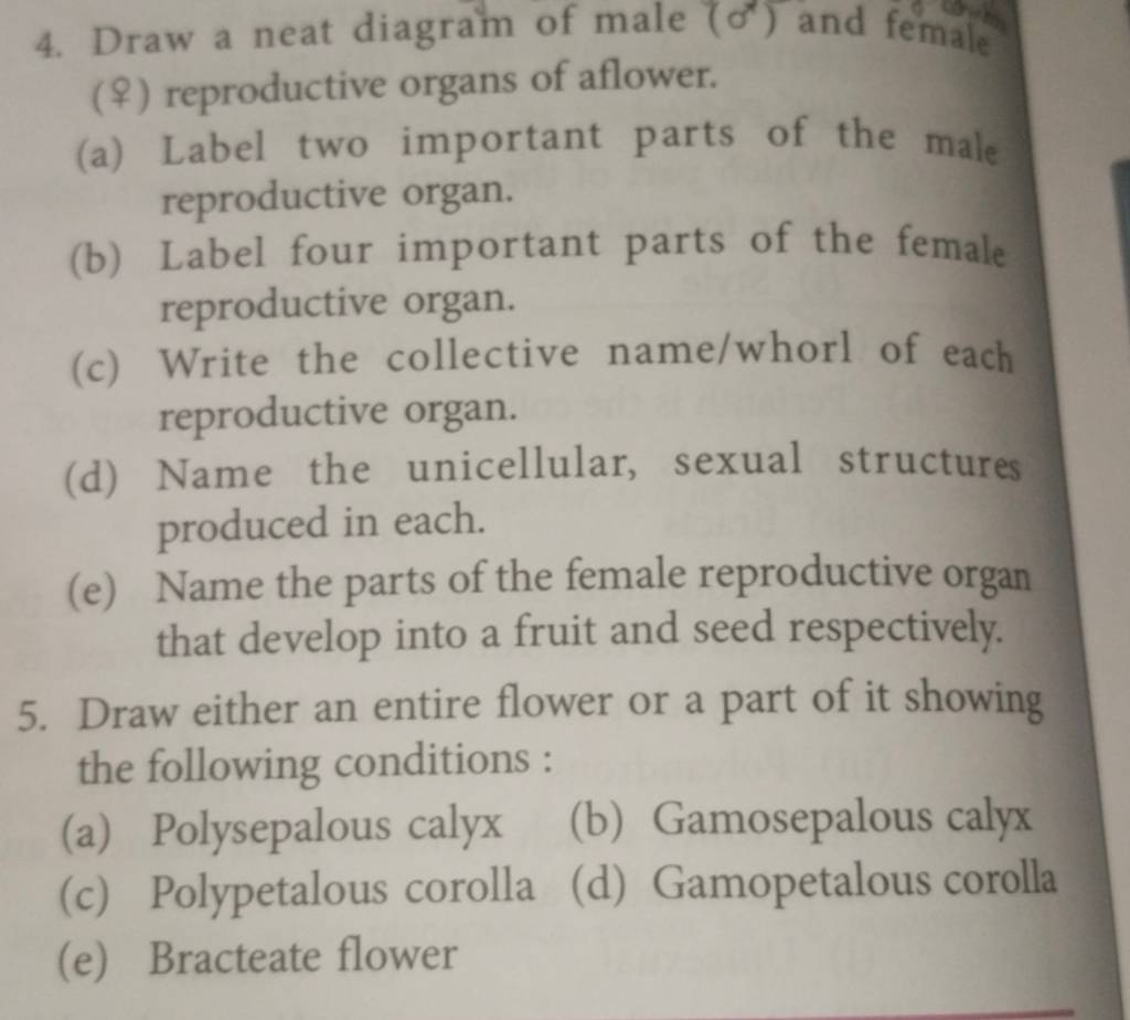 Draw A Neat Diagram Of Male σ∘ And Female Reproductive Organs Of Af