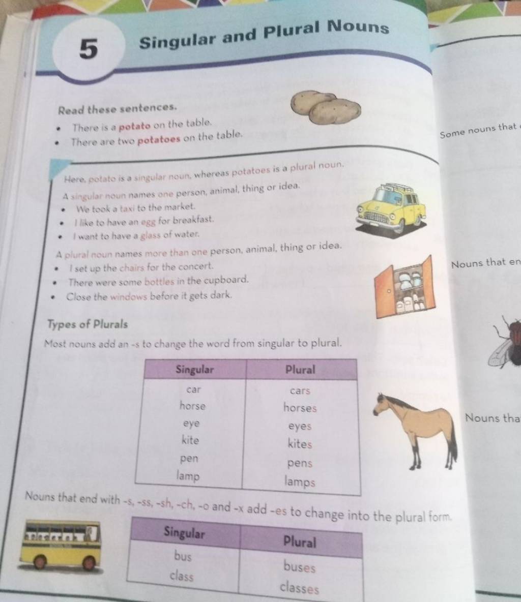 5 Singular and Plural Nouns Read these sentences. - There is a potato on