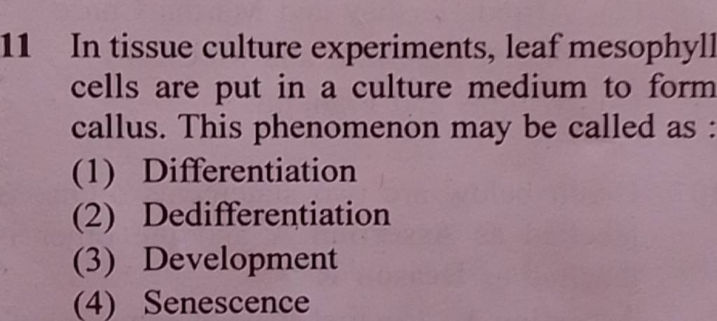 11 In tissue culture experiments, leaf mesophyll cells are put in a cultu..