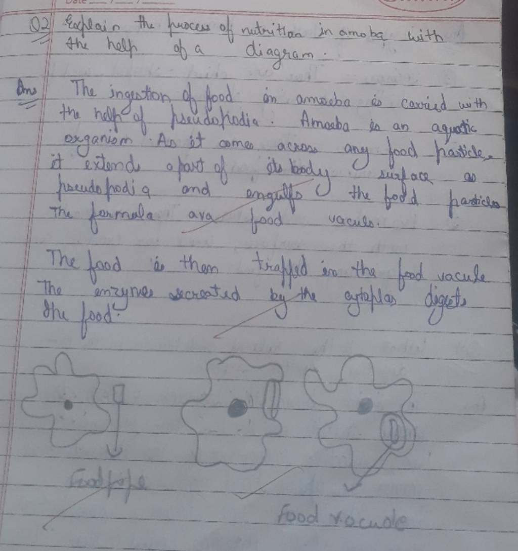 Nutrition In Amoeba Diagram