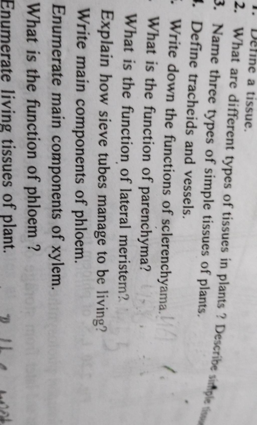 2-what-are-different-types-of-tissues-in-plants-describe-siafple-fion-3