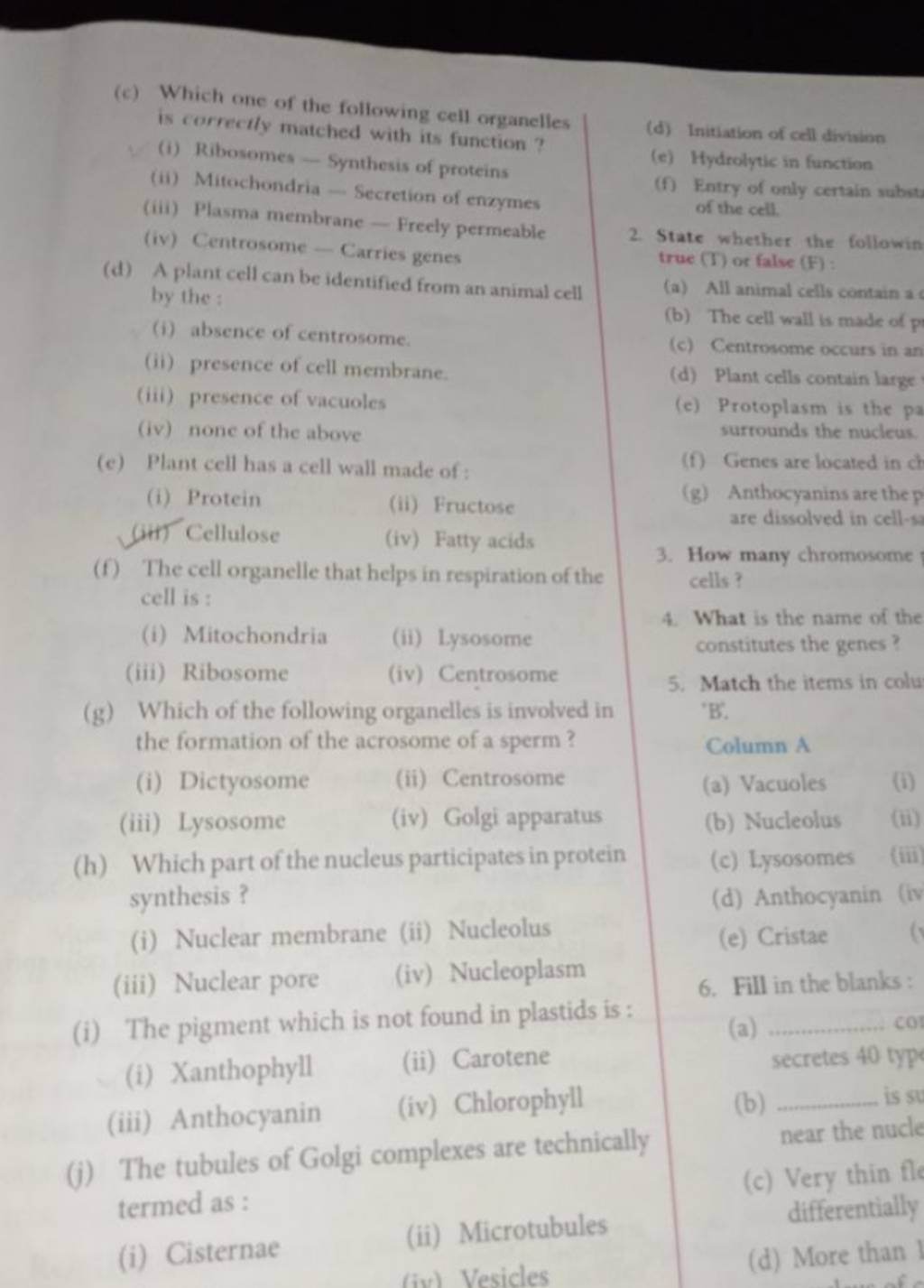 Ribosomes - Synthesis of proteins (ii) Mitochondria - Secretion of enrym..
