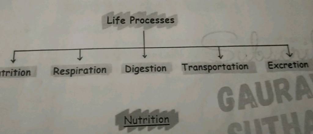 Life Processes trition Respiration Digestion Transportation Excretion Nut..