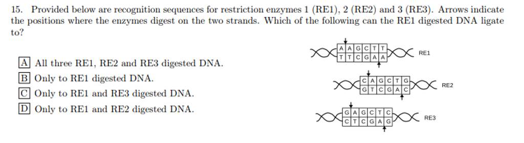 15. Provided below are recognition sequences for restriction enzymes 1 (R..