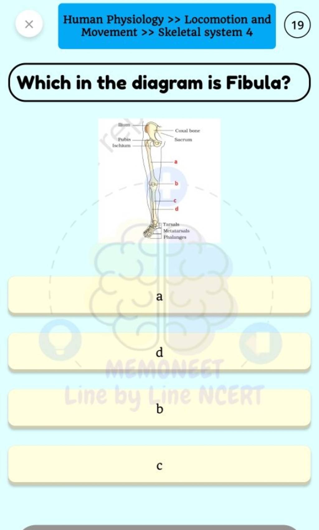 × Human Physiology >> Locomotion and Movement >> Skeletal system 4 19 Whi..