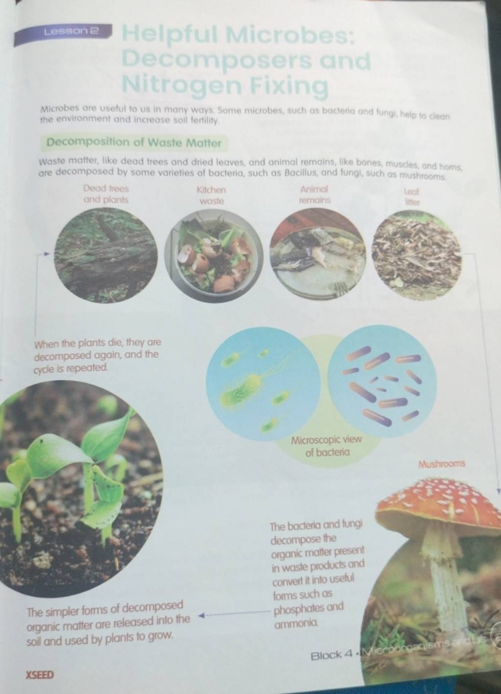 Helpful Microbes: Decomposers and Nitrogen Fixing Microbes are useful to