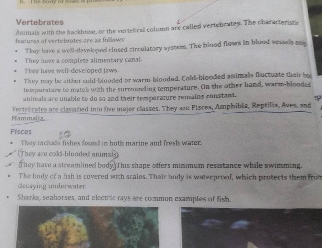 Vertebrates Animals with the backbone, or the vertebral column are called..