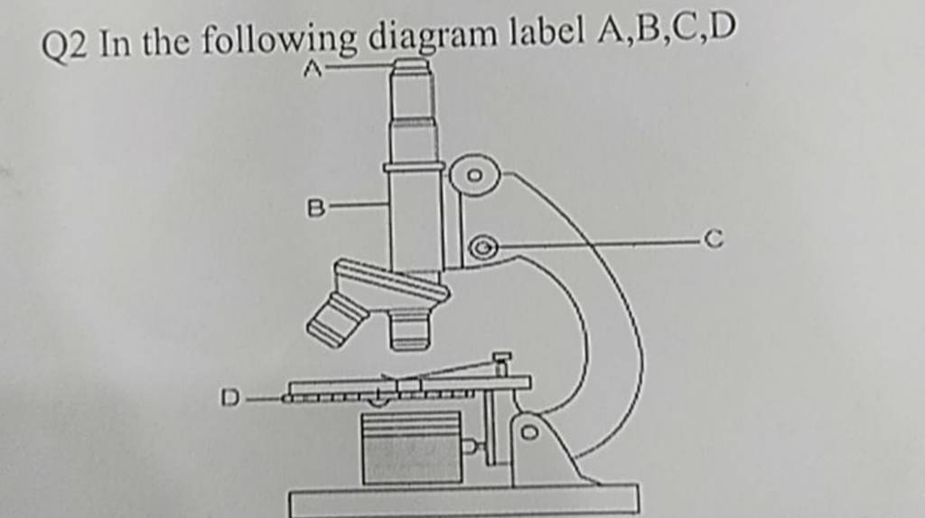 Q2 In the following diagram label A,B,C,D | Filo