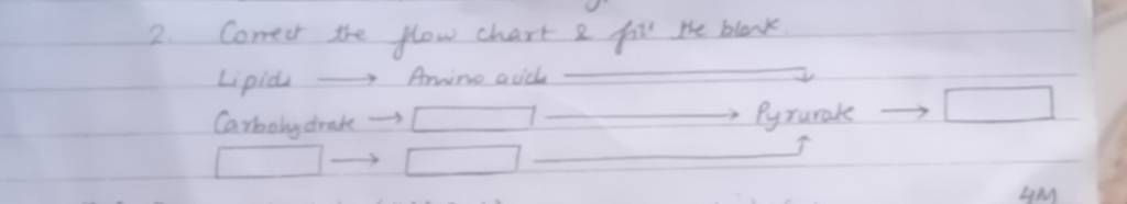 2. Comect the flow chart 2 pir the bleve Lipida Anane avich Carboly dra..