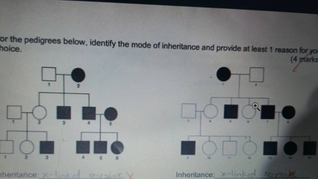 or the pedigrees below, identify the mode of inheritance and provide at l..
