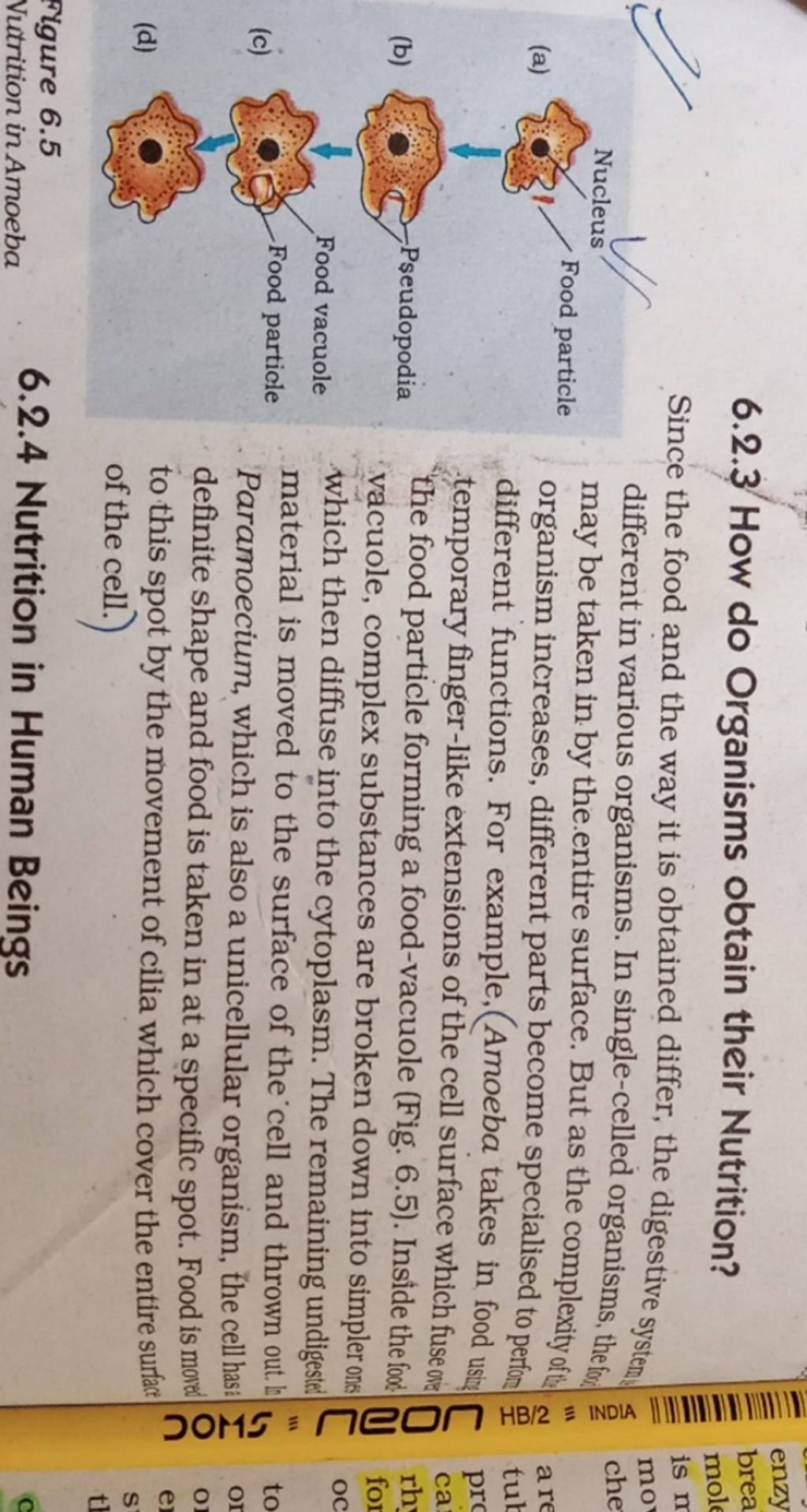 6.2.3 How do Organisms obtain their Nutrition? Since the food and the way..