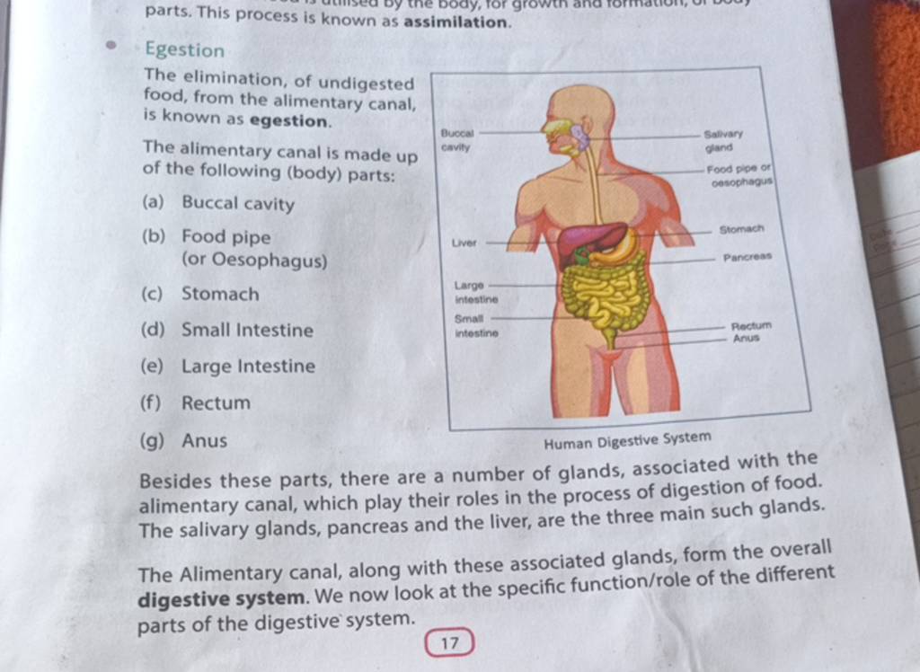 This process is known as assimilation. - Egestion The elimination, of und..
