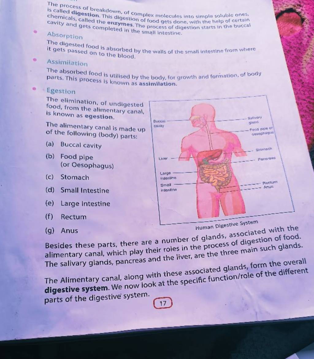 The process of breakdown, of complex molecules into simple soluble ones.