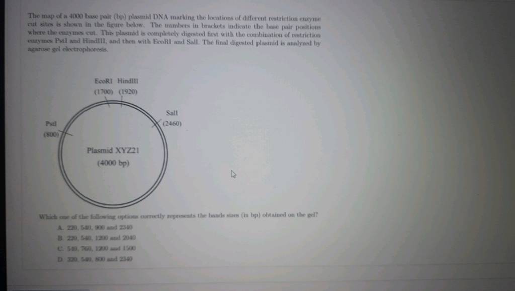 The map of a 4000 haw pair (bp) plasmid DNA marking the locations of diff..