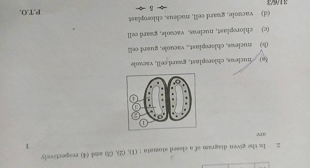 In the given diagram of a closed stomata : (1), (2), (3) and (4) respecti..