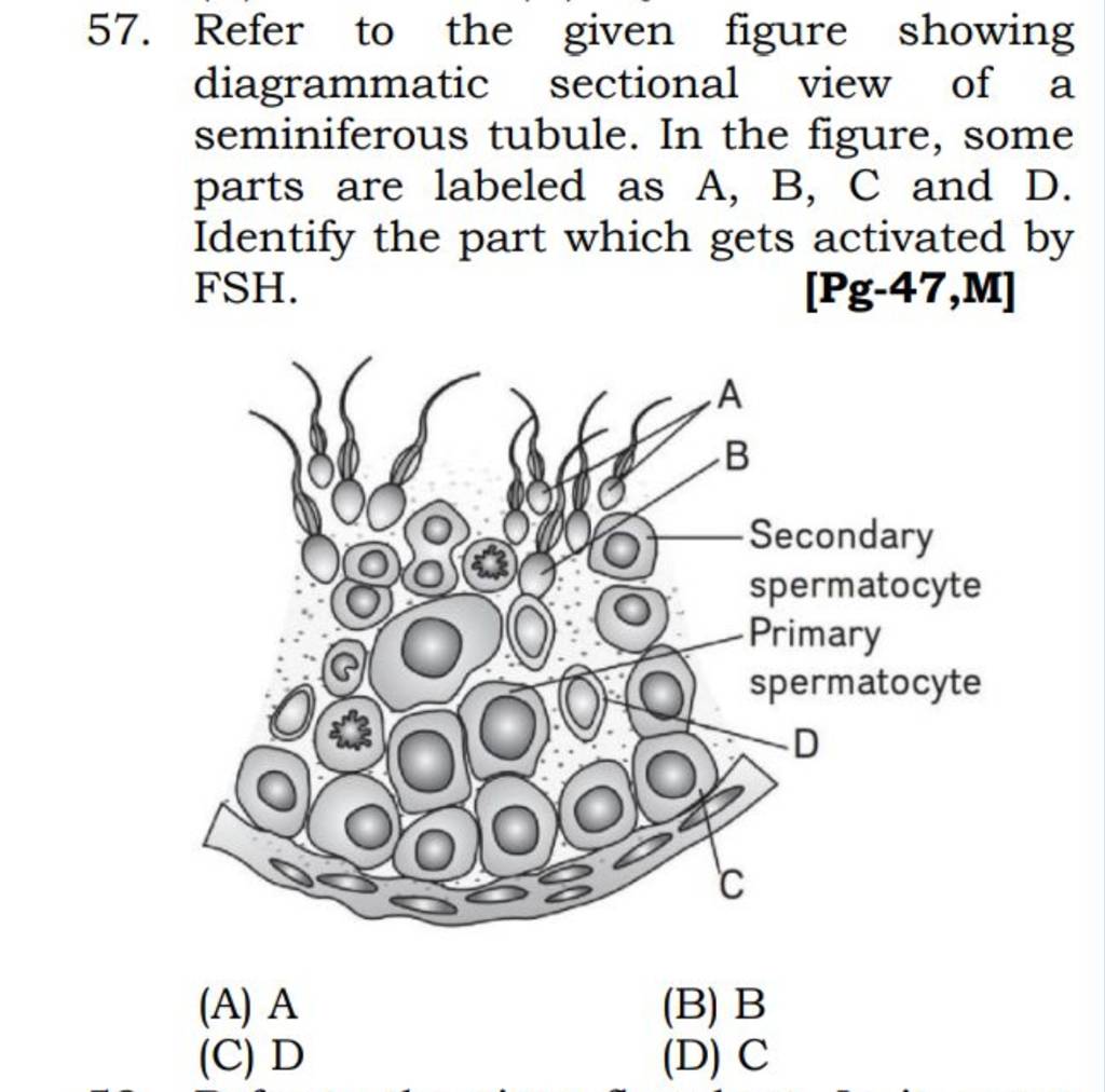 Refer To The Given Figure Showing Diagrammatic Sectional View Of A Semini