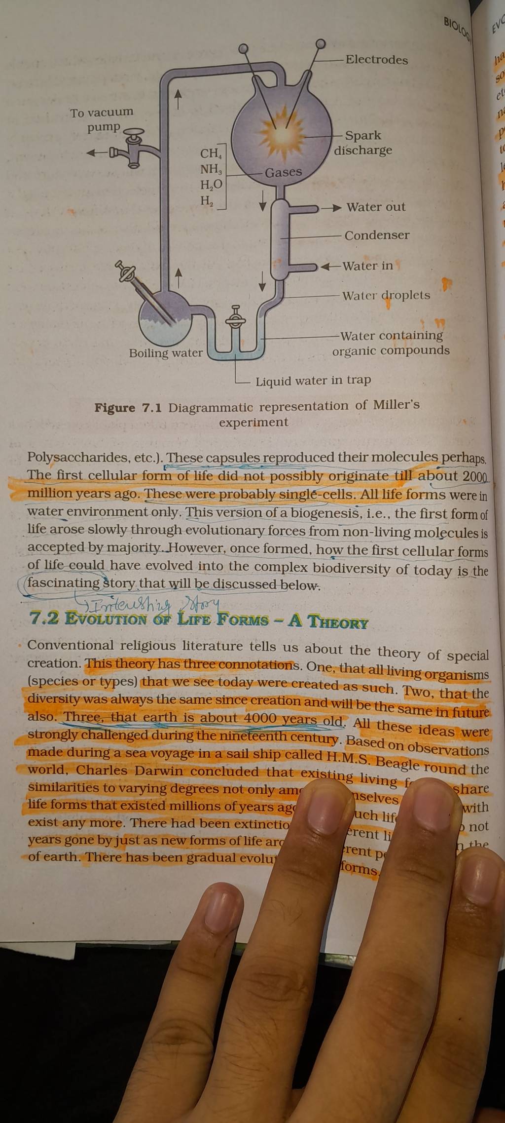 Figure 7.1 Diagrammatic representation of Miller's experiment Polysacchar..