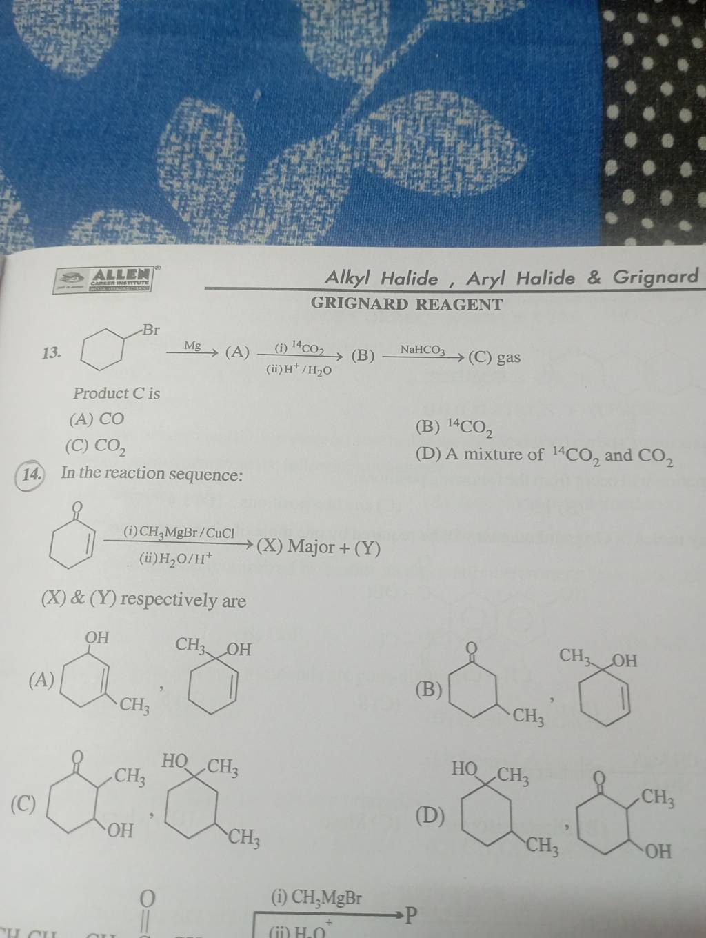 Alkyl Halide, Aryl Halide \& Grignard GRIGNARD REAGENT 13. BrC1CCCCC1 Mg..