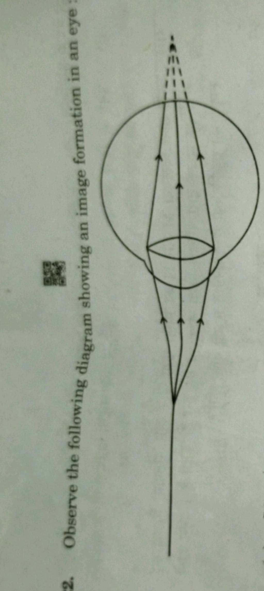 2. Observe the following diagram showing an image formation in an eye